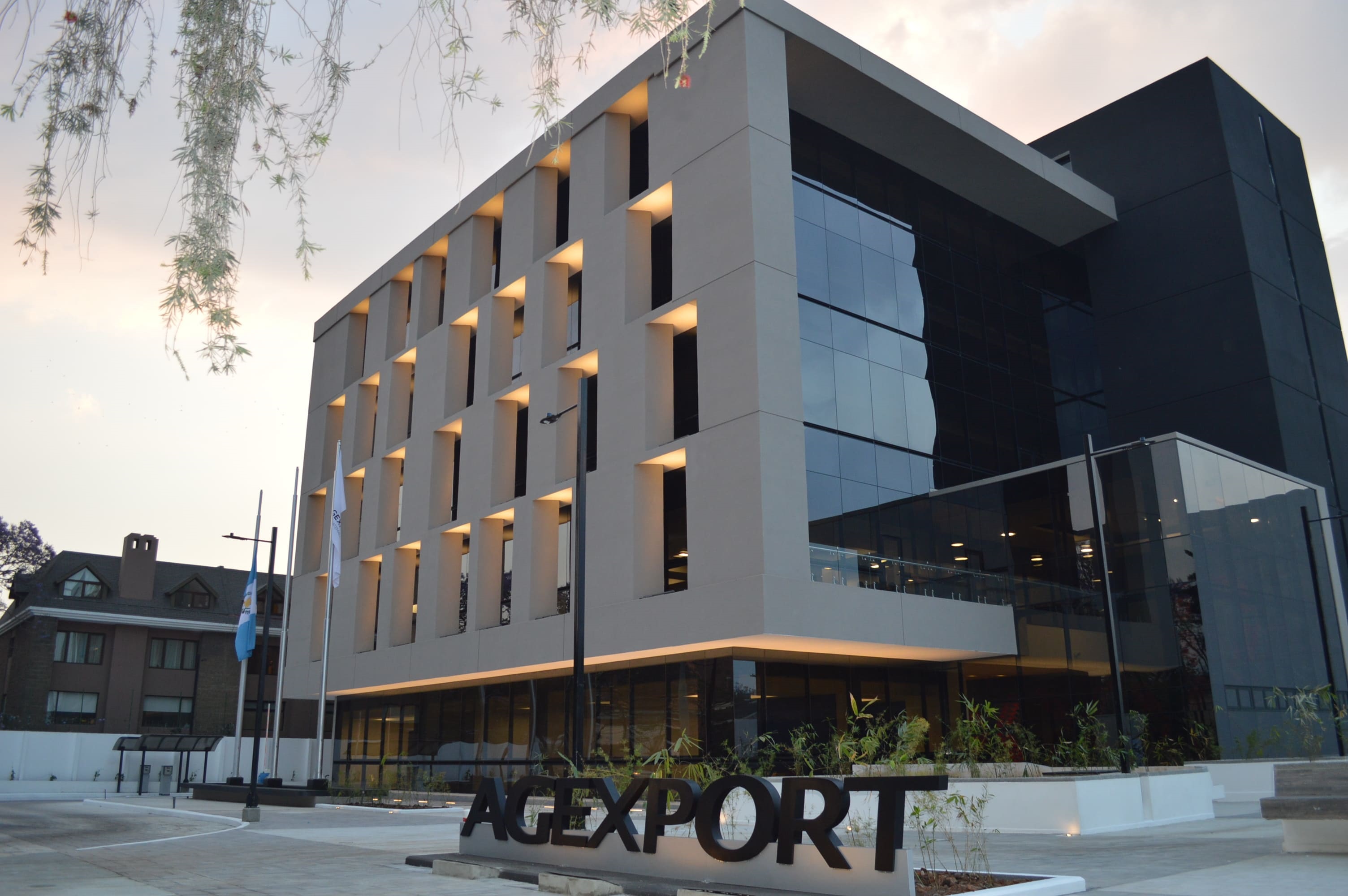 Guatemala, en el top 10 a nivel mundial, de organizaciones no ...